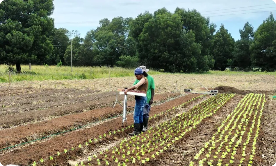 Farm Management Software | Tend