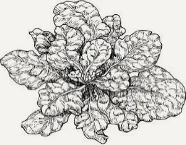 Tend | Organic Farm Management Software