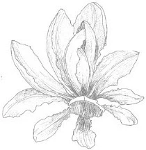 Tend | Organic Farm Management Software